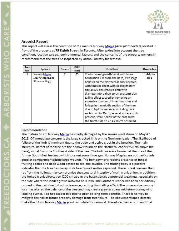 Arborist Reports For Private Tree Removal Tree Doctors Inc 